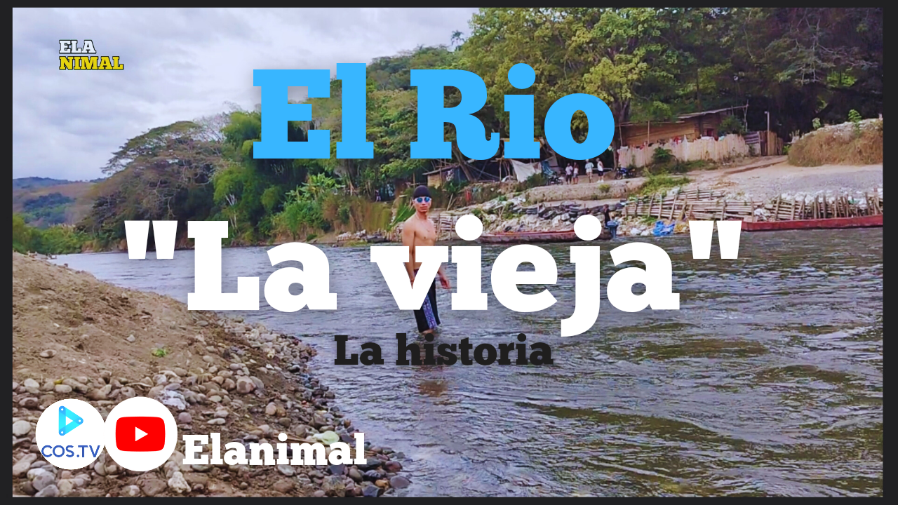 El río la vieja y su pequeña historia #ballenitafeliz - COS.TV