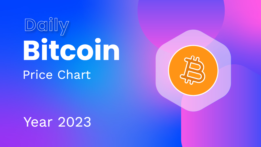 BITCOIN (BTC) Price Evolution (Daily/USD) 2023-2024 #crypto #bitcoin # ...