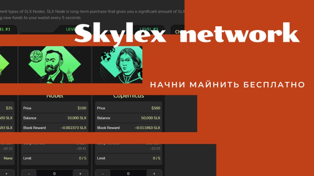 Skylex network | Устанавливаем ноду | Подробный обзор проекта ...