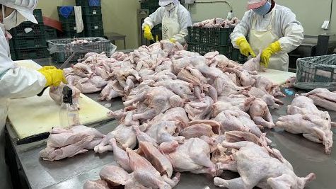 Fried chicken mass production process - Cafe Vlog - COS.TV