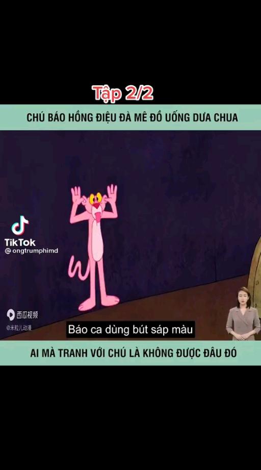 chú báo hồng - COS.TV