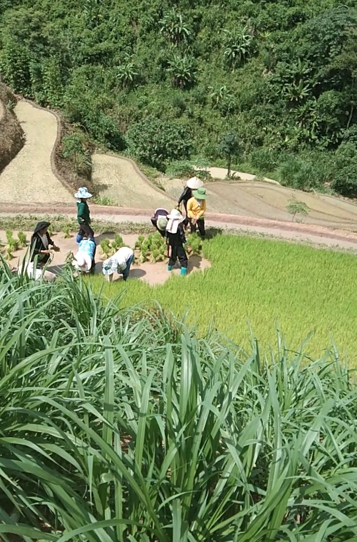 peb hmoob kev khwv - COS.TV