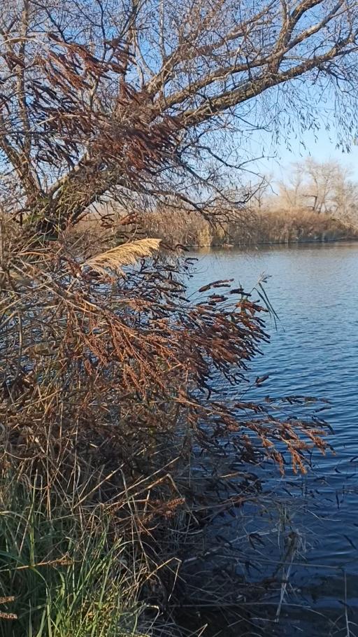 осень ) - COS.TV