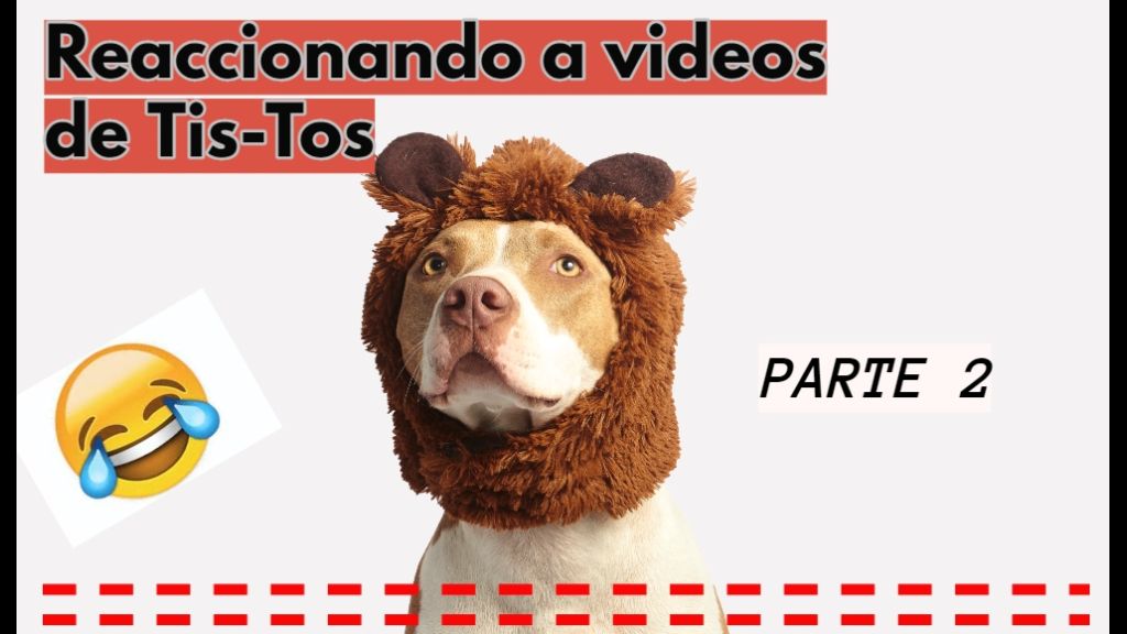 🤣 Reaccionando a videos de Tis-Tos parte 2 - COS.TV