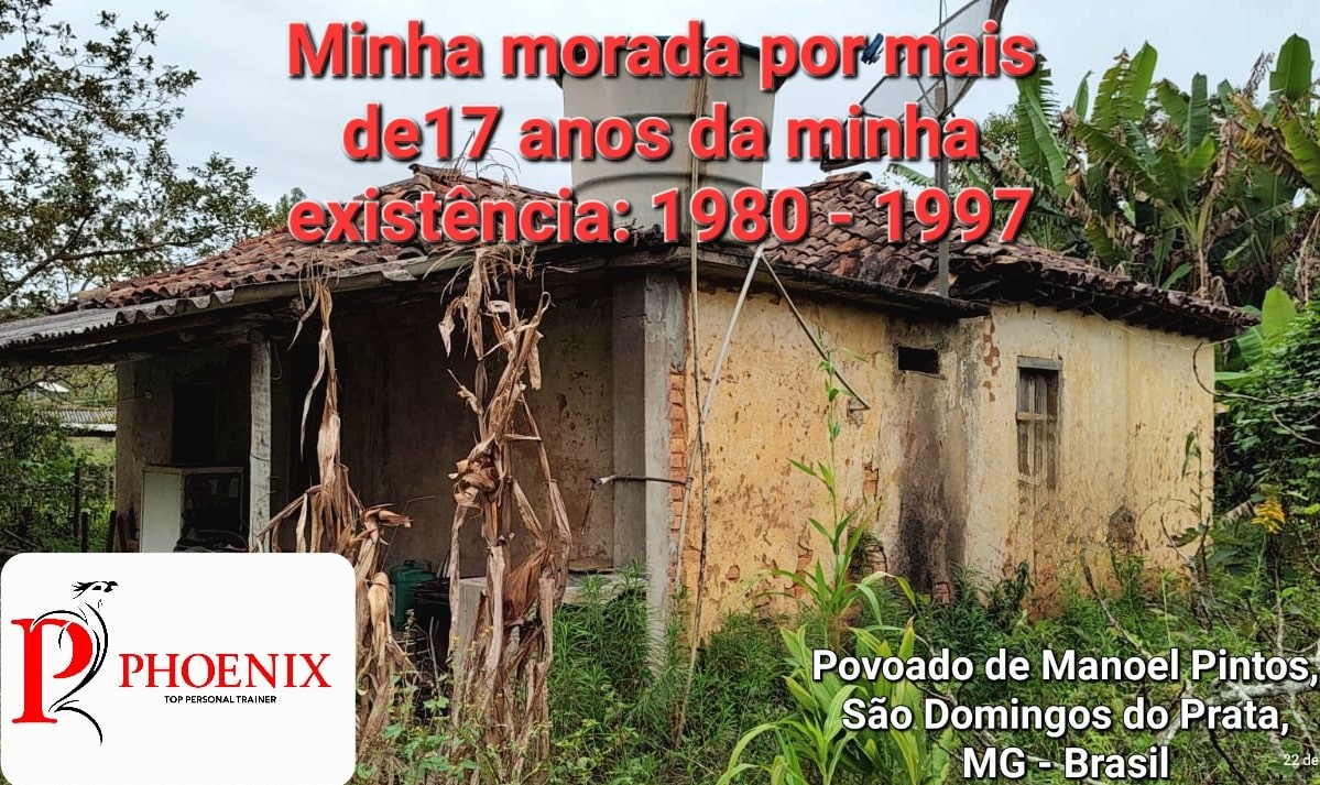RESSURREIÇÃO DA PHOENIX - COS.TV