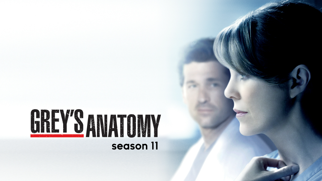 𝗧𝗣𝟬𝟭𝟭 - 𝗘𝗣𝟬𝟯 🔰 𝗚𝗿𝗲𝘆’𝘀 𝗔𝗻𝗮𝘁𝗼𝗺𝘆 ᴴᴰ - 𝘀𝘂𝗻𝘀𝗲𝘁 ⚡ - COS.TV