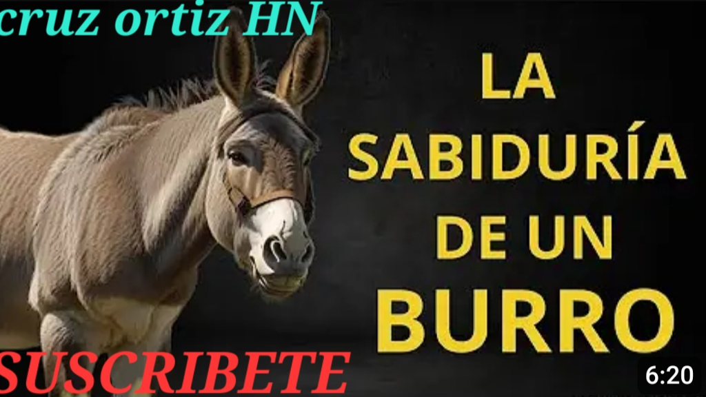 ♾️💵 🇭🇳¿HISTORIA DEL BURRO QUE LE ECHABAN TIERRA? 🌎 😔 TE SORPRENDERAS DE ...