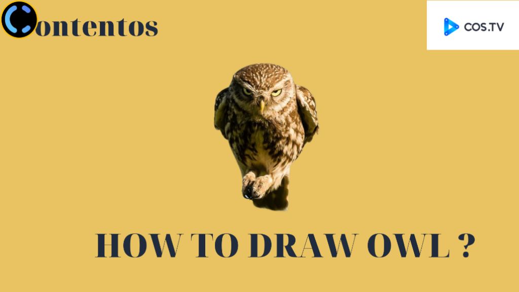 HOW TO DRAW OWL ? - COS.TV