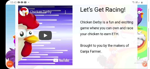 Chicken Derby, digital racing for ETH, nft metaverse game - COS.TV