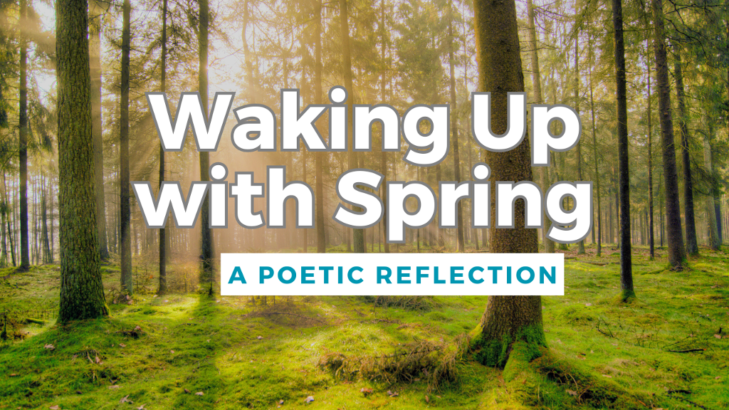 Waking Up with Spring (A Poem About Nature) - COS.TV