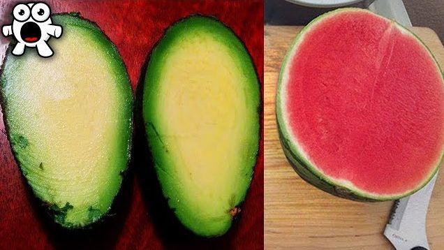 Afortunadas Personas Que Ganaron La Lotería de Comida - COS.TV