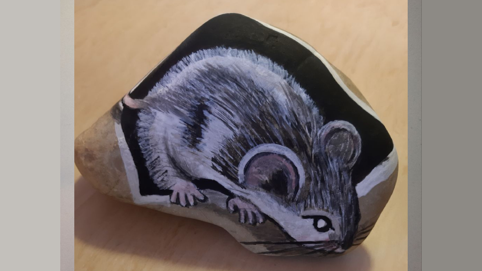 How to paint on comfortable stone ?🎨🕳️ Acrylic painting on stone /Mouse ...