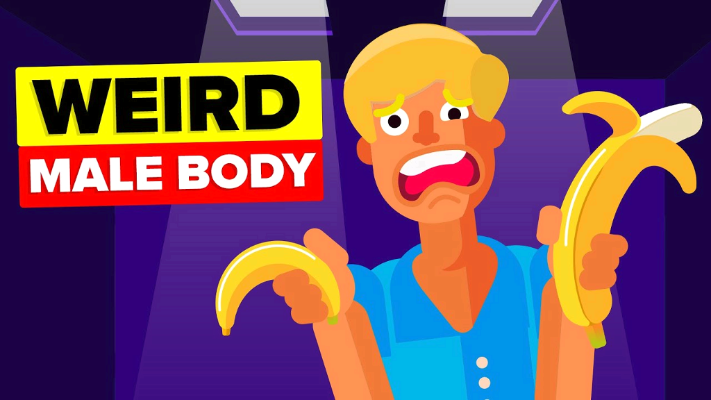 Most Weird Facts about Male Body - COS.TV