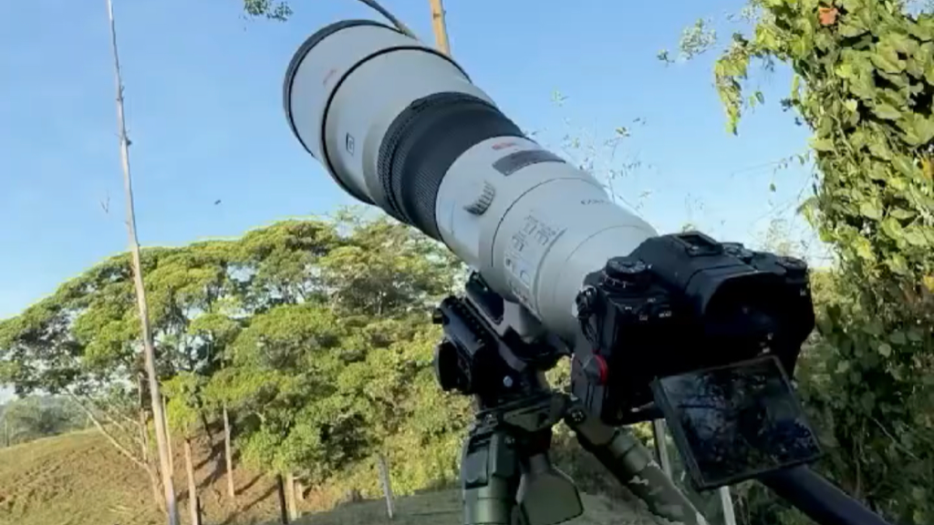 SONY CAMERA + LENS RESULTS - COS.TV