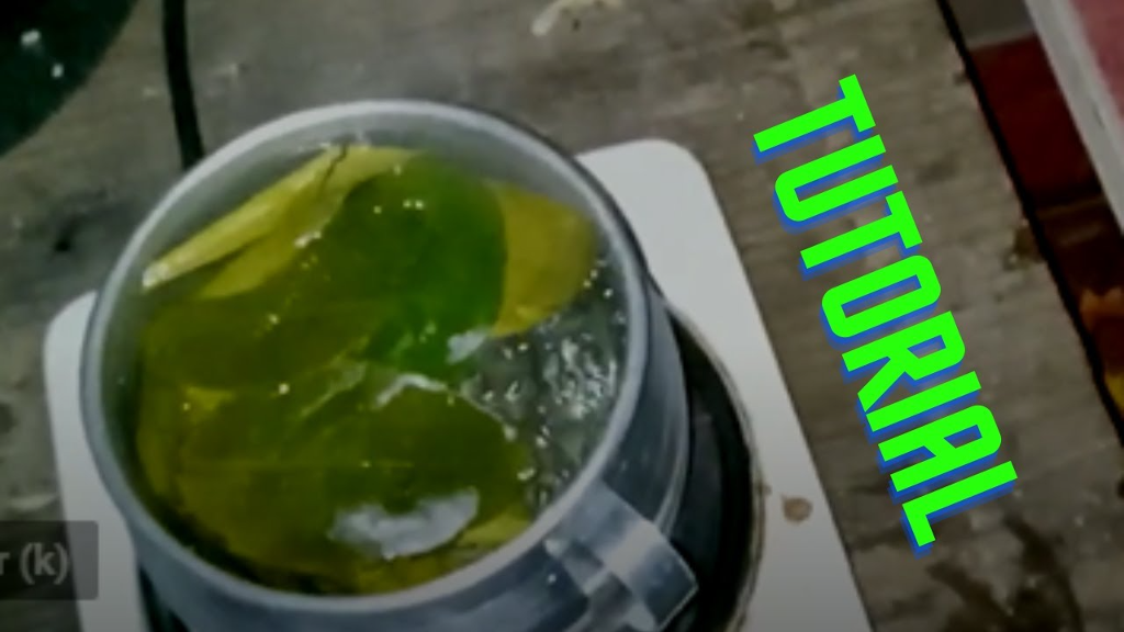 Como hacer te de hojas de arbol de limon. - COS.TV