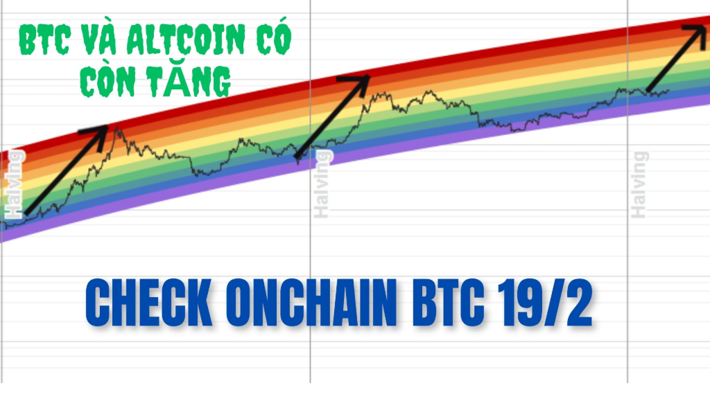 CHECK ONCHAIN BTC 19/2 ( BTC VÀ ALTCOIN CÓ CÒN TĂNG ) - COS.TV