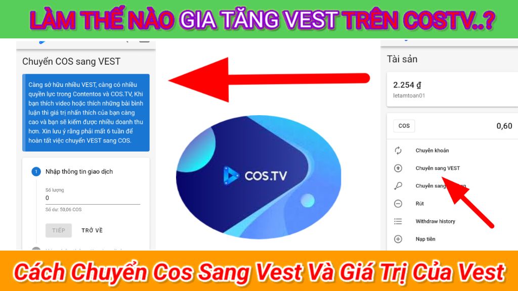 HƯỚNG DẪN COS CHUYỂN SANG VEST VÀ HIỂU GIÁ TRỊ CỦA VEST TRÊN COSTV ...