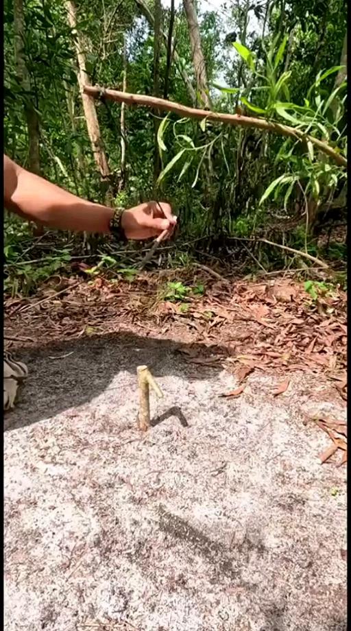 show de armadilha.deixe like a que pra fortalecer o canal. - COS.TV