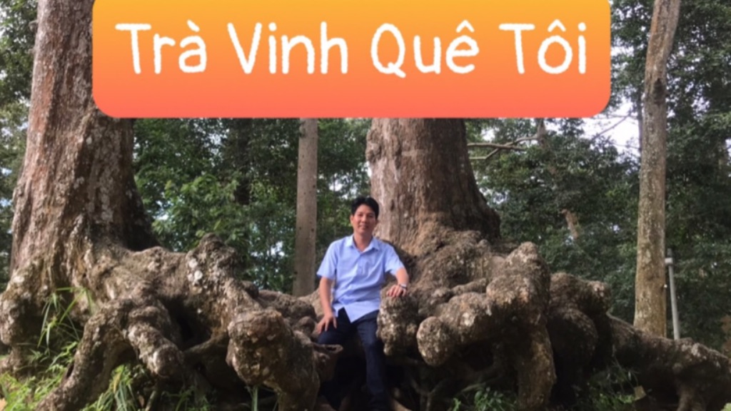 Trà Vinh Quê Tôi - COS.TV