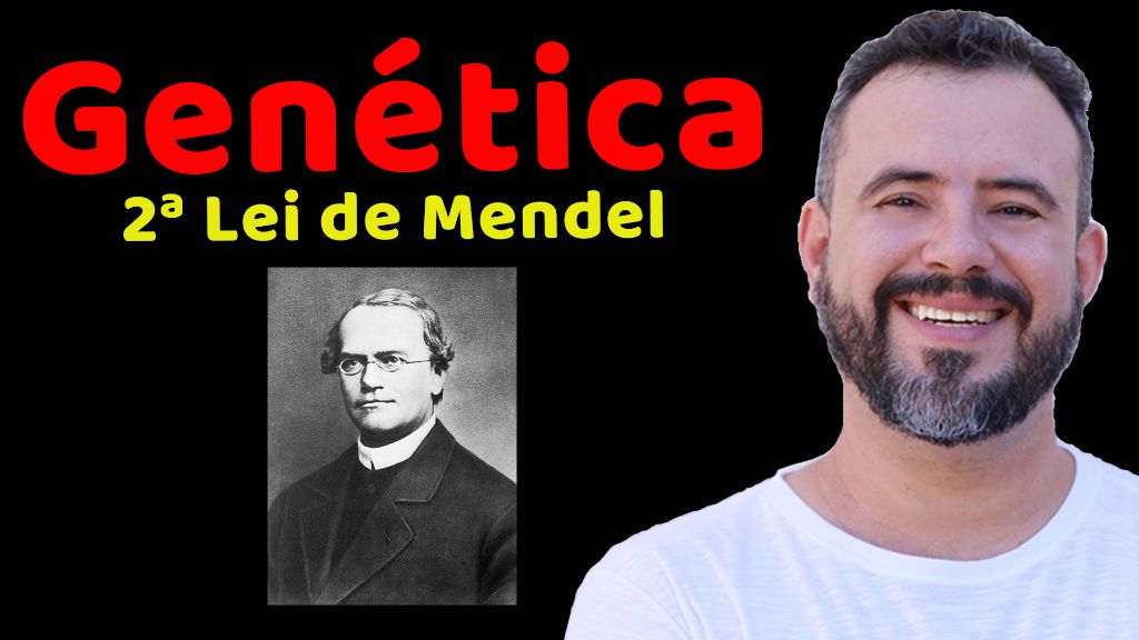 GENÉTICA | 2ª Lei de Mendel | Diibridismo | Prof. Daniel Fernandes # ...