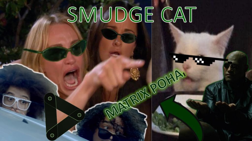 fUdEo dE vEz - #memedogato - COS.TV
