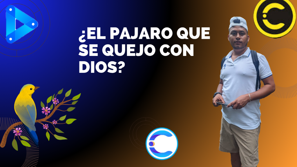 ♾️💵 HISTORIA DEL PÁJARO QUE SE QUEJO CON DIOS POR SENTIRSE SOLO #COSTV ...