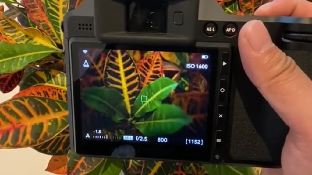 SONY CAMERA RESULT. DEMO - COS.TV