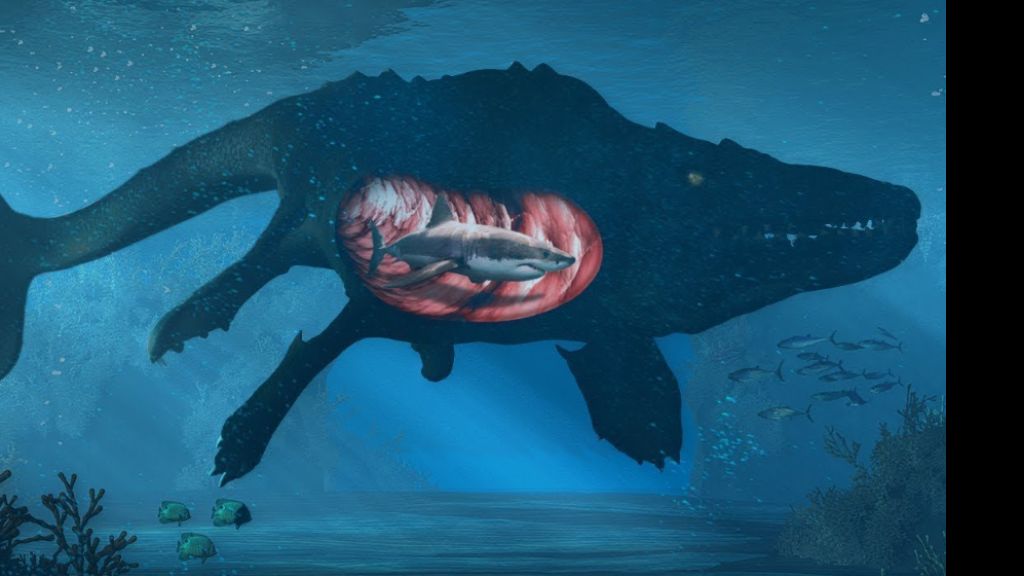 Tiburón blanco es comido por un monstruo gigante-Misterio resuelto - COS.TV