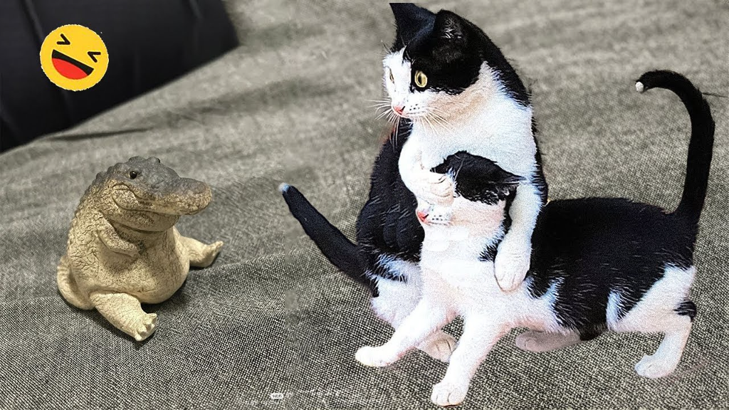 Funny dog and cat videos😅🐶😆 - The funniest animal videos part 1 - COS.TV