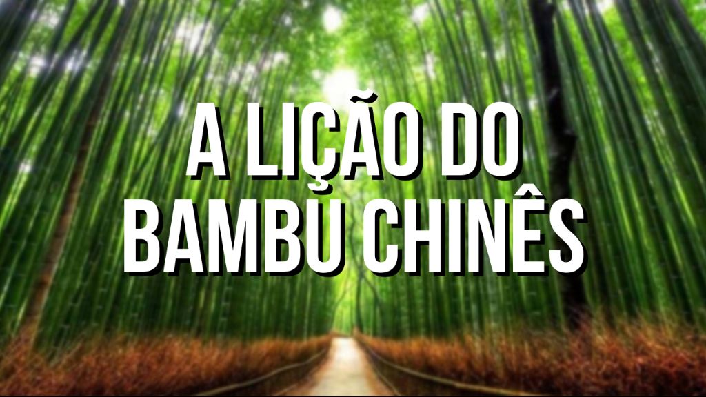 A Lição do Bambu Chinês - Dica do Dia - COS.TV