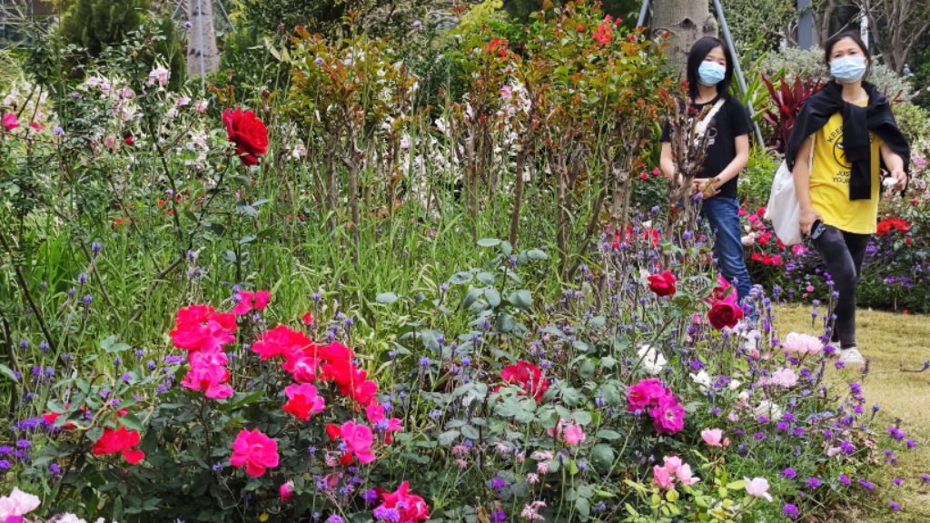 Fairytale flower garden - COS.TV