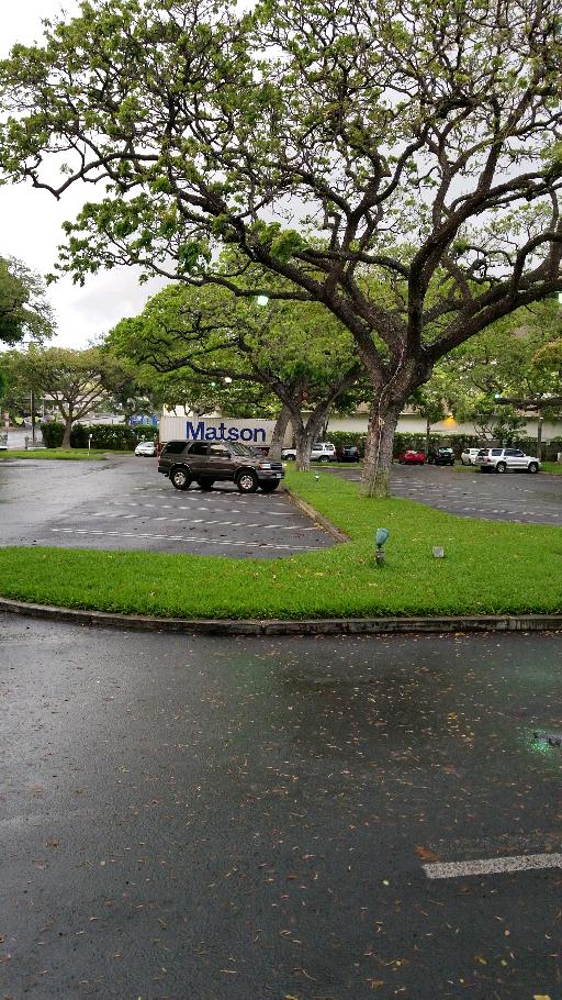 Good Morning Honolulu Hawaii - COS.TV